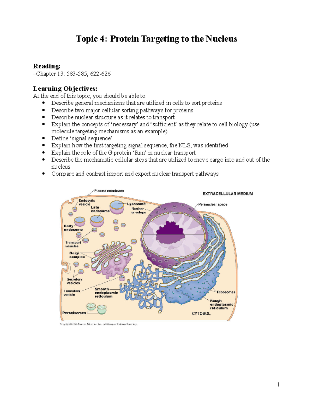 Topic 4 Nucleus Protein Targeting - Topic 4: Protein Targeting to the ...