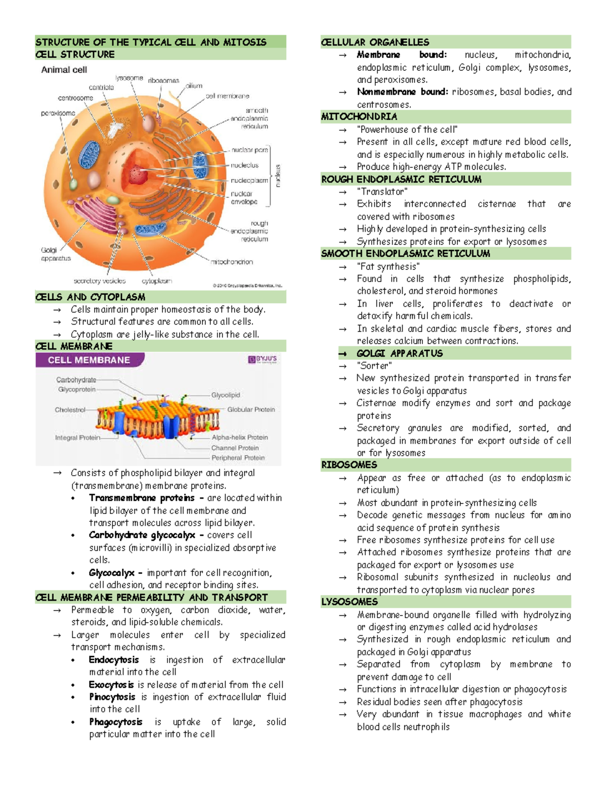 Histolab Reviewer - pang premium lang - STRUCTURE OF THE TYPICAL CELL ...