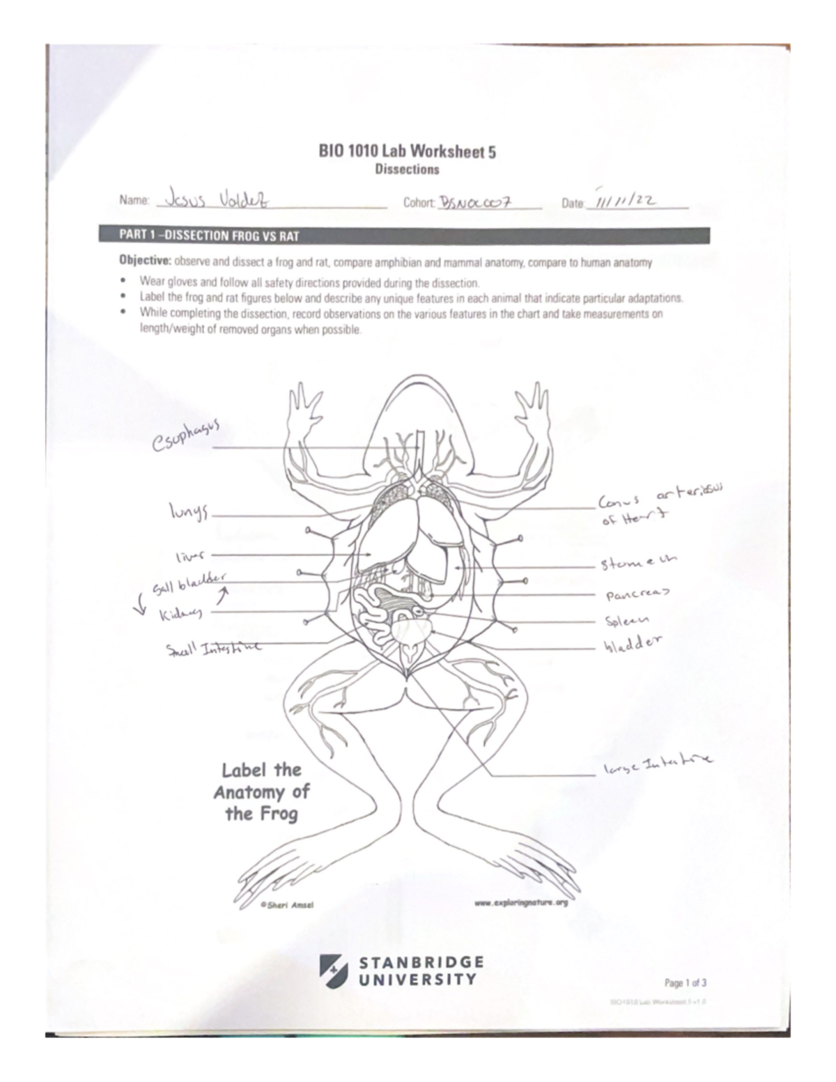 BIO 1010 Lab Worksheet 5 - BIO E109 - Studocu