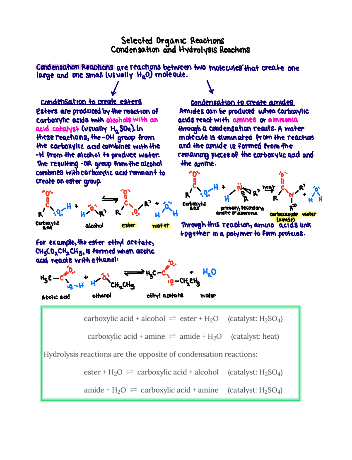 Condensation and Hydrolysis Reactions - Selected OrganicReactions ...