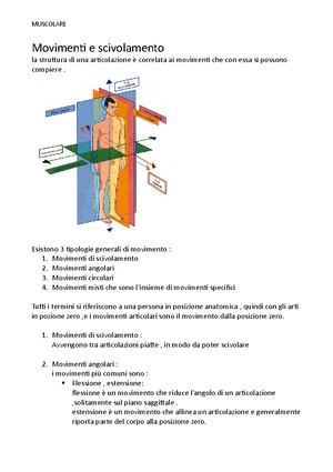 Razze copia-Asini - Razze Asini Le razze asinine italiane vengono ...