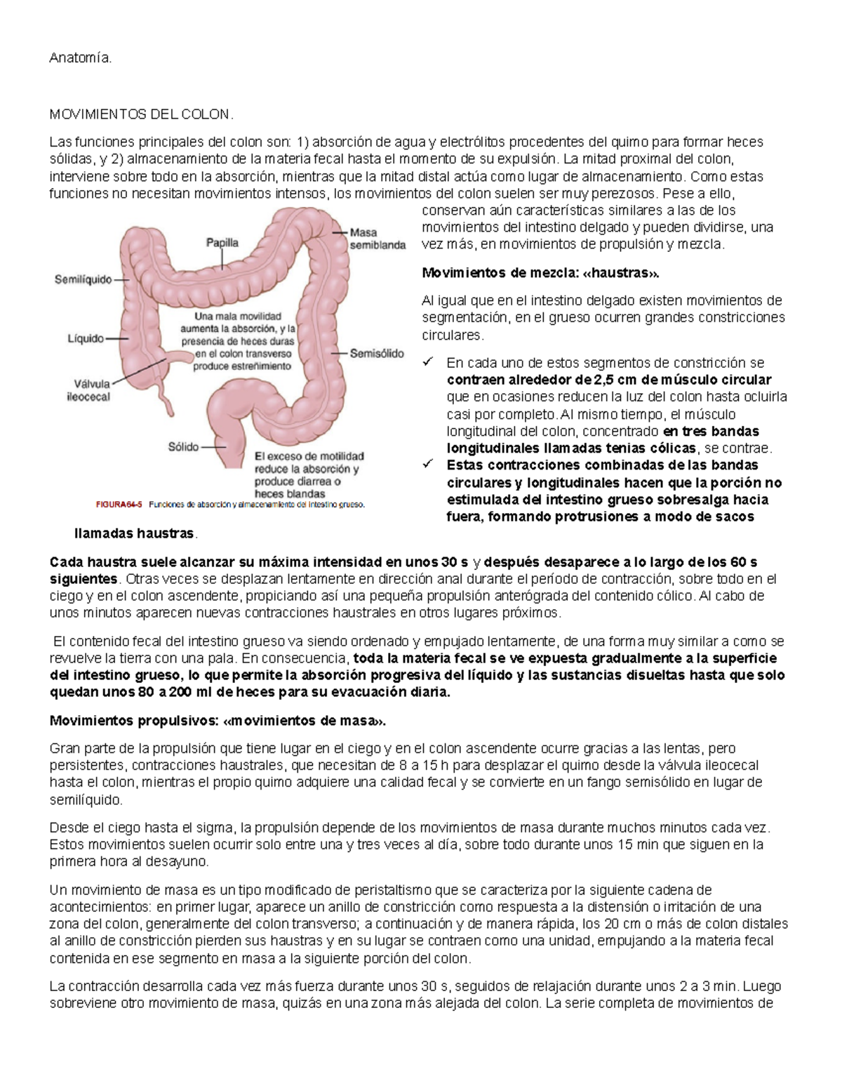 Cancer colon - Resumen Gastroenterología - Anatomía. MOVIMIENTOS DEL ...