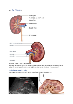 Stappenplan EC galblaas en galwegen - Galblaas en galwegen stappenplan ...
