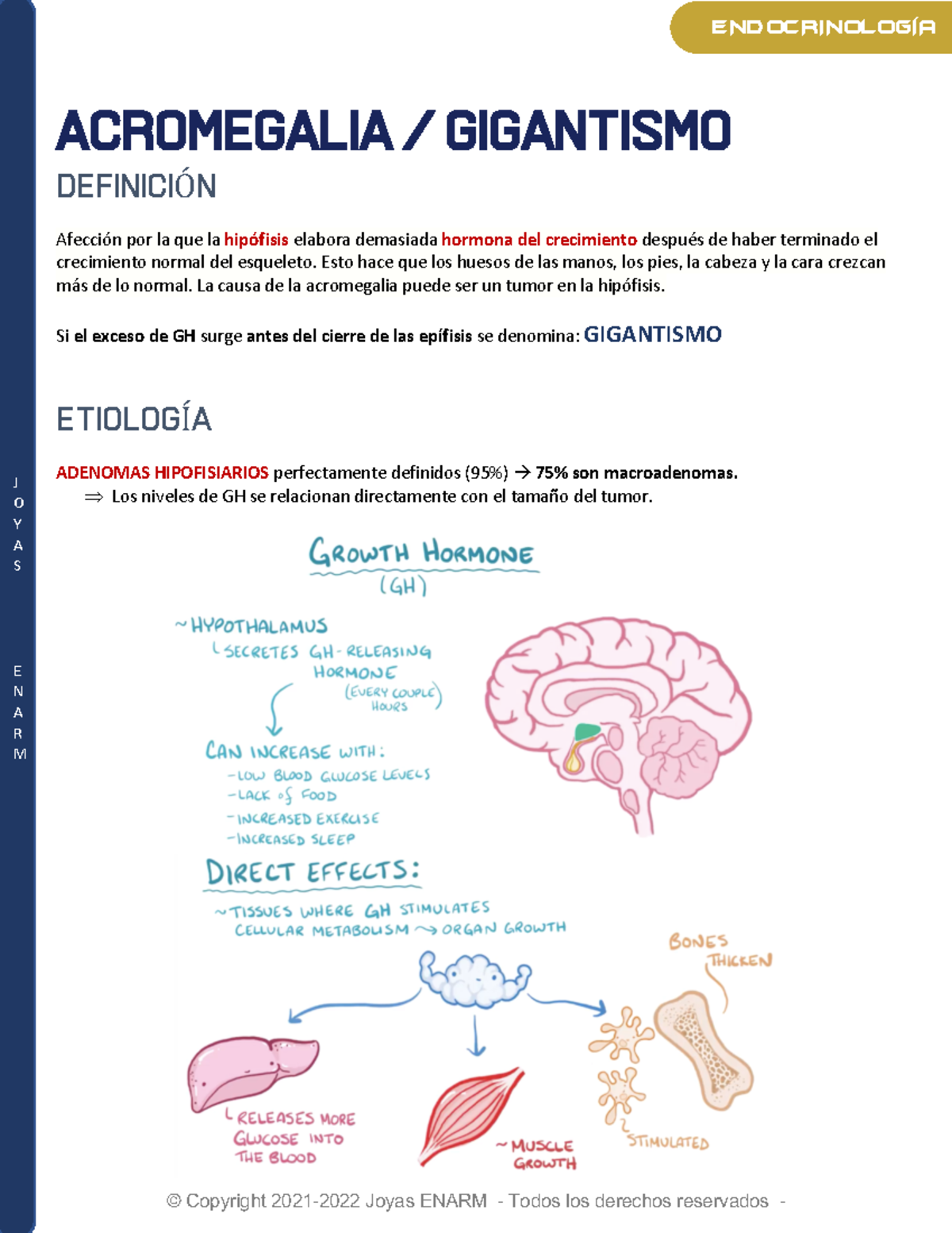 21. Acromegalia Gigantismo - © Copyright 2021-2022 Joyas ENARM - Todos ...