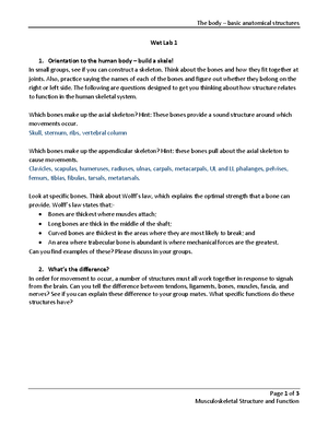 Week 2 MSFTorso Anatomy Wet Lab Answers - Page 1 of 6 Anatomy of the ...
