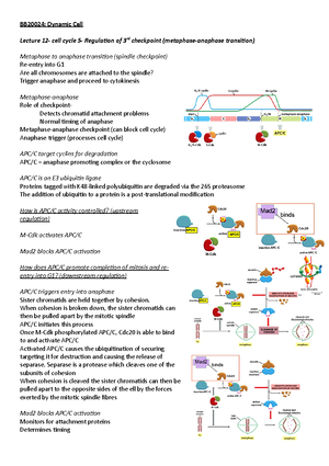 The dynamic cell BB2002 4 - Lecture 2: The languages of signal ...