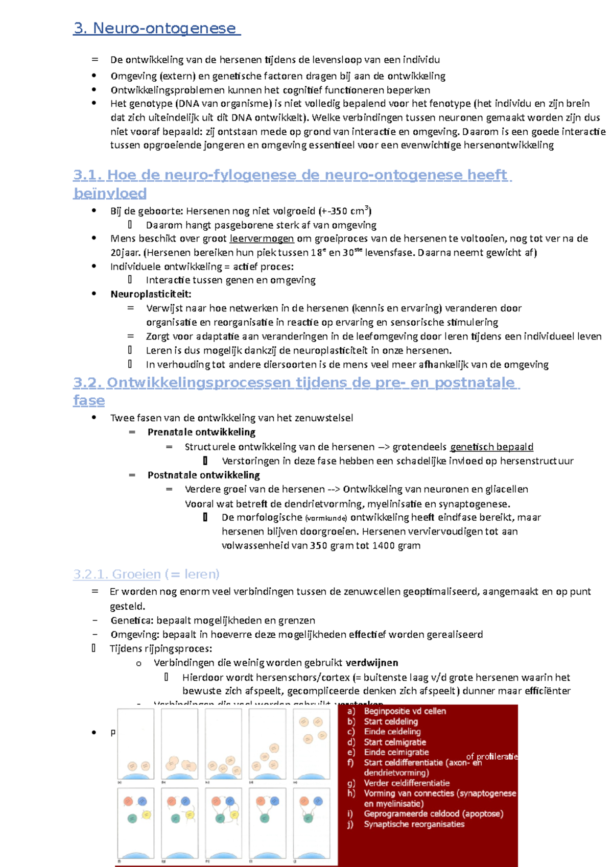 3. Neuro-ontogenese - spiegelneuronen - 3. De ontwikkeling van de ...