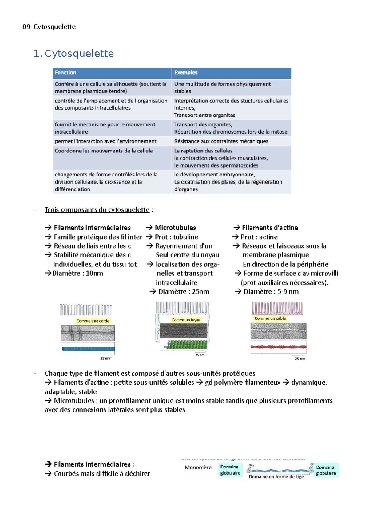 09 Cytosquelette - 09_Cytosquelette 1 Trois composants du cytosquelette ...