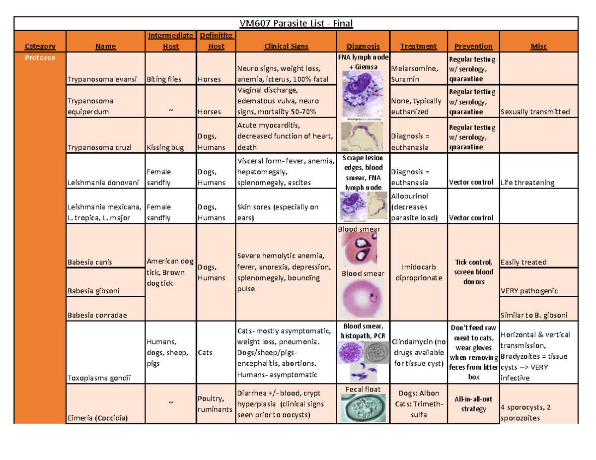 VM607 Parasite List - Final - Category Name Intermediate Host ...