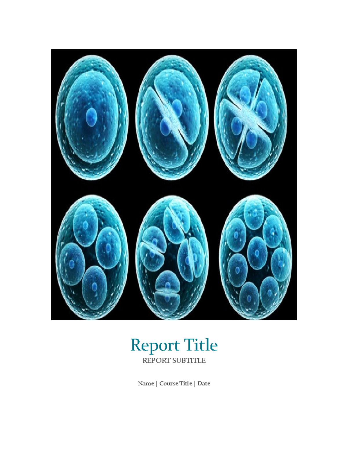 Report Title - Report Title REPORT SUBTITLE Name | Course Title | Date ...