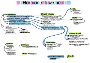 Unit 1 AP Computer Science Practice Exam - new - This practice test was ...