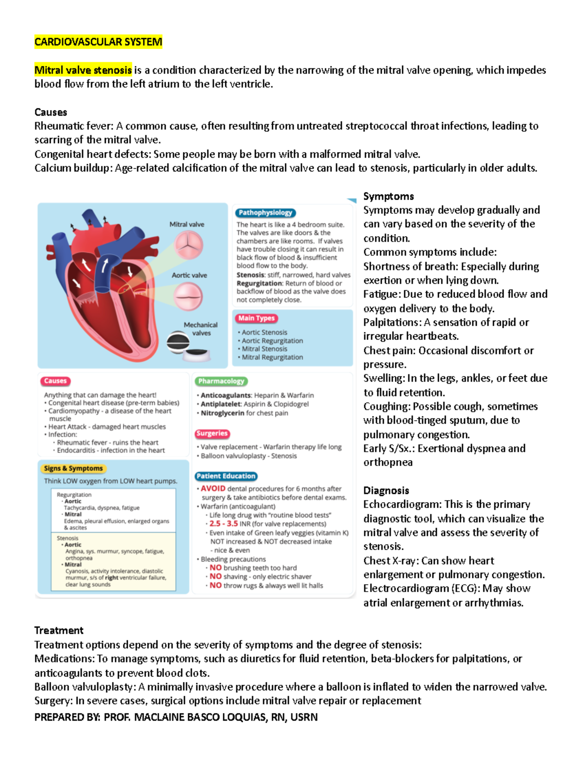 Cardiovascular System Disease Overview - CARDIOVASCULAR SYSTEM Mitral ...