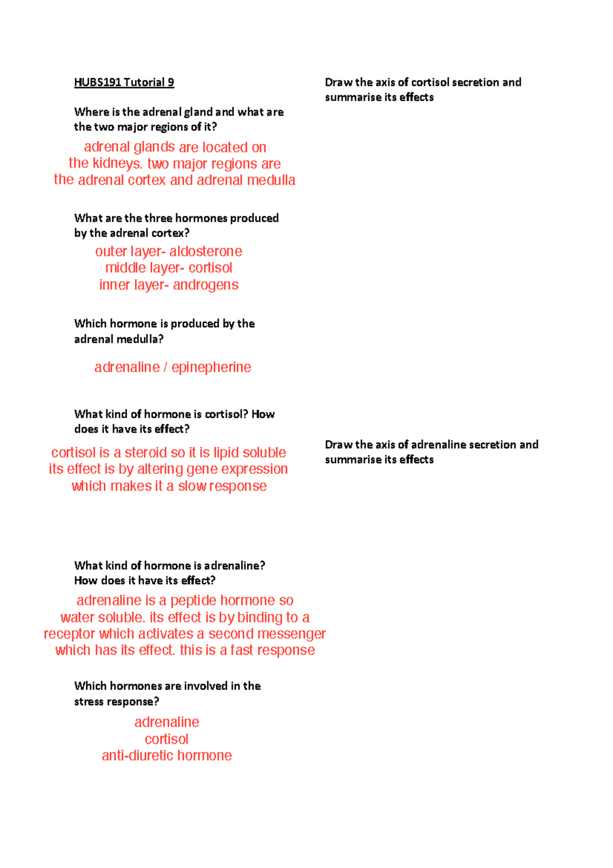 HUBS191 T9 Questions - HUBS191 Tutorial 9 Where is the adrenal gland ...