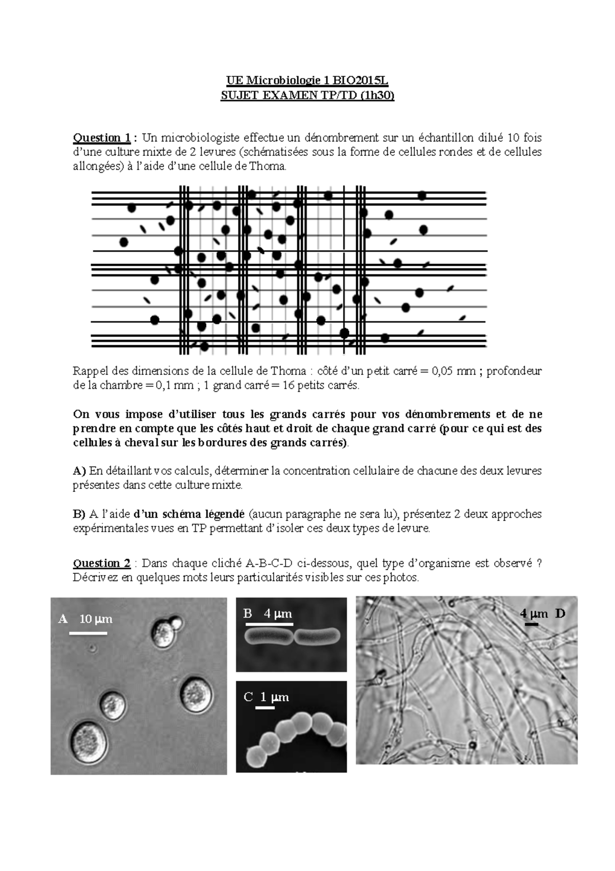 Sujet 4 - UE Microbiologie 1 BIO2015L SUJET EXAMEN TP/TD (1h30) Question 1 : Un microbiologiste ...