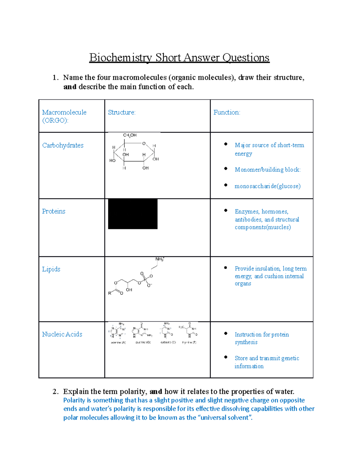 Biochemistry Short Answer Questions - Name the four macromolecules ...