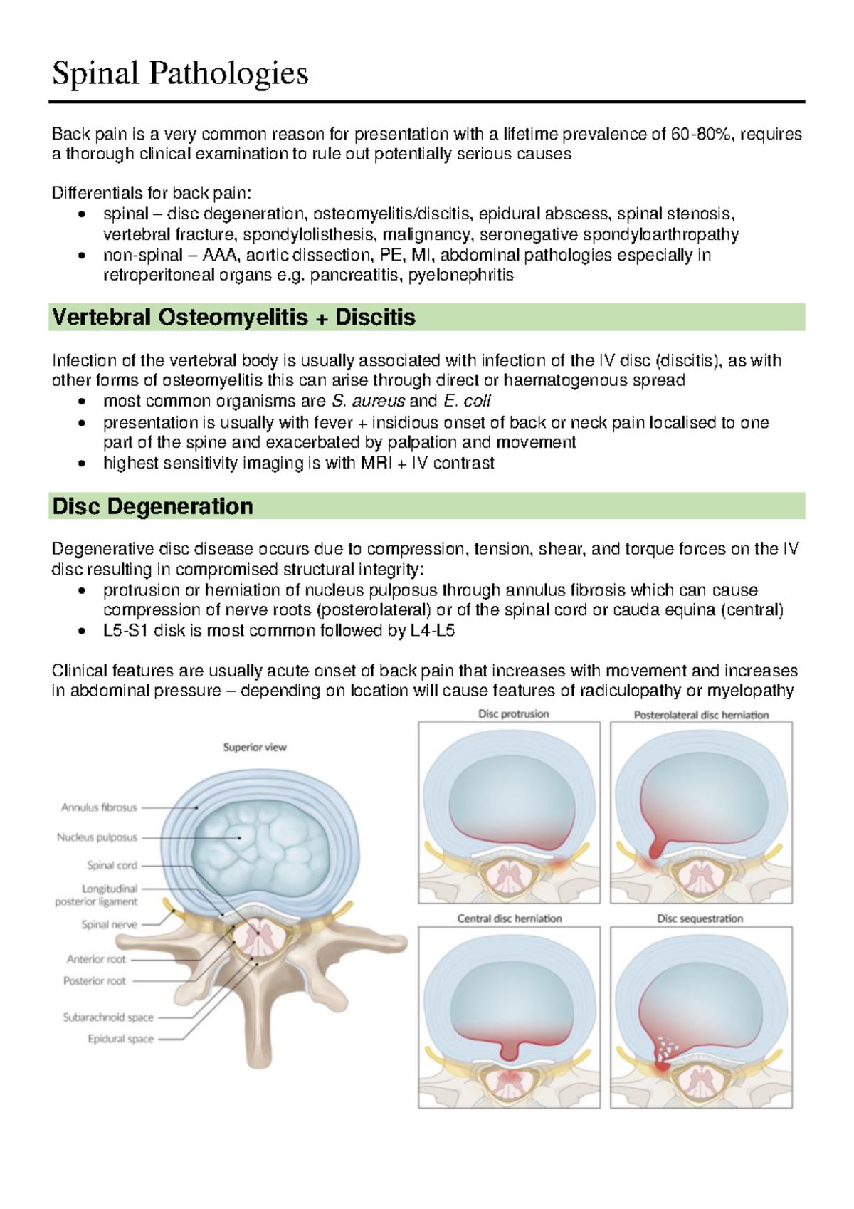 Spinal Pathologies - Key disease entity - Spinal Pathologies Back pain ...