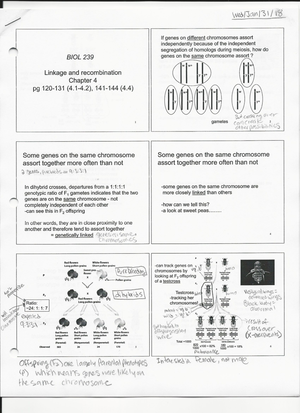 Biol 239 ch 2 - biol 239 lecture set 2 - Modifications of Mendelian ...