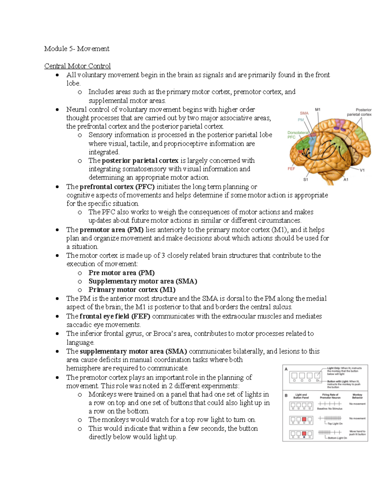 Module 5 Notes - Module 5- Movement Central Motor Control - All ...