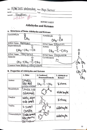Alcohols and Phenols Lab Report - AO Date '2 / q I Z0'22- vJ (M PS diuj ...