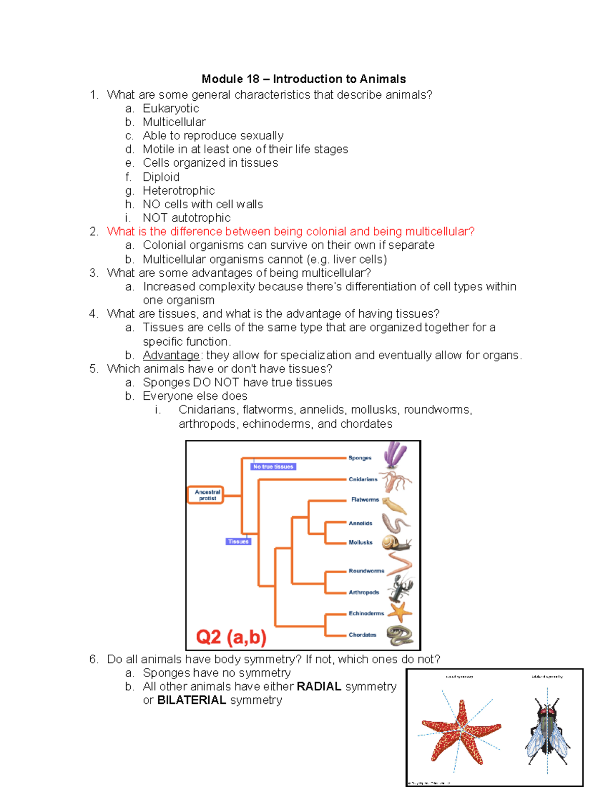 Exam 3 Review Questions - Module 18 – Introduction to Animals What are ...