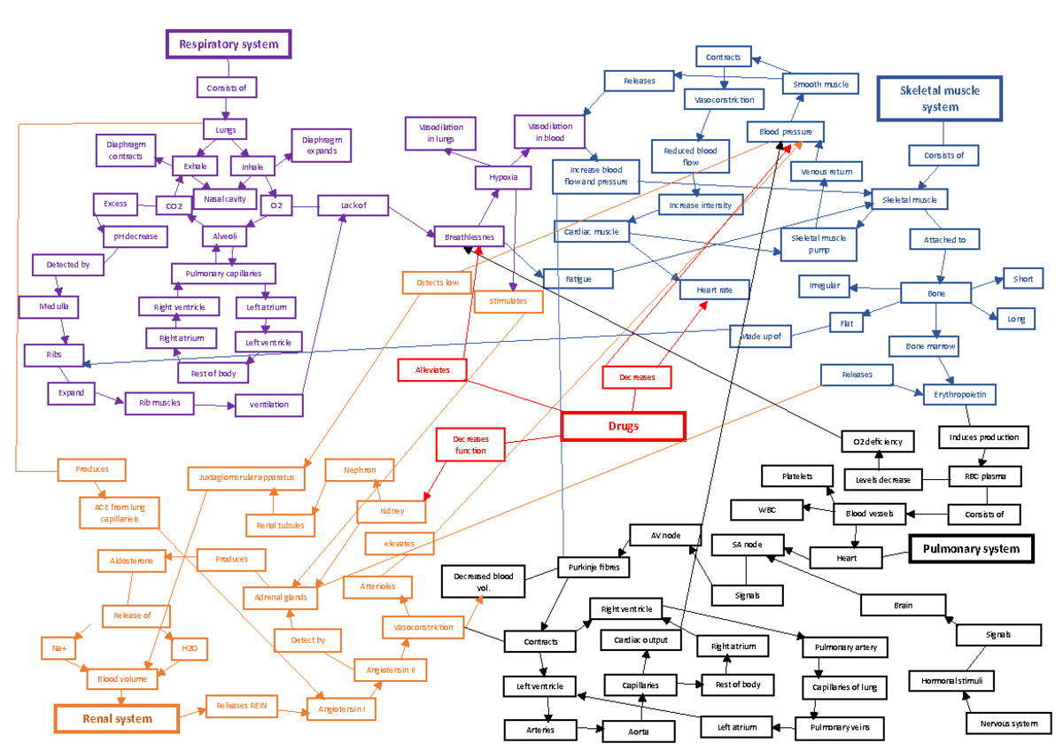 Integration Concept Map - Decreases Decreases function Alleviates Drugs ...