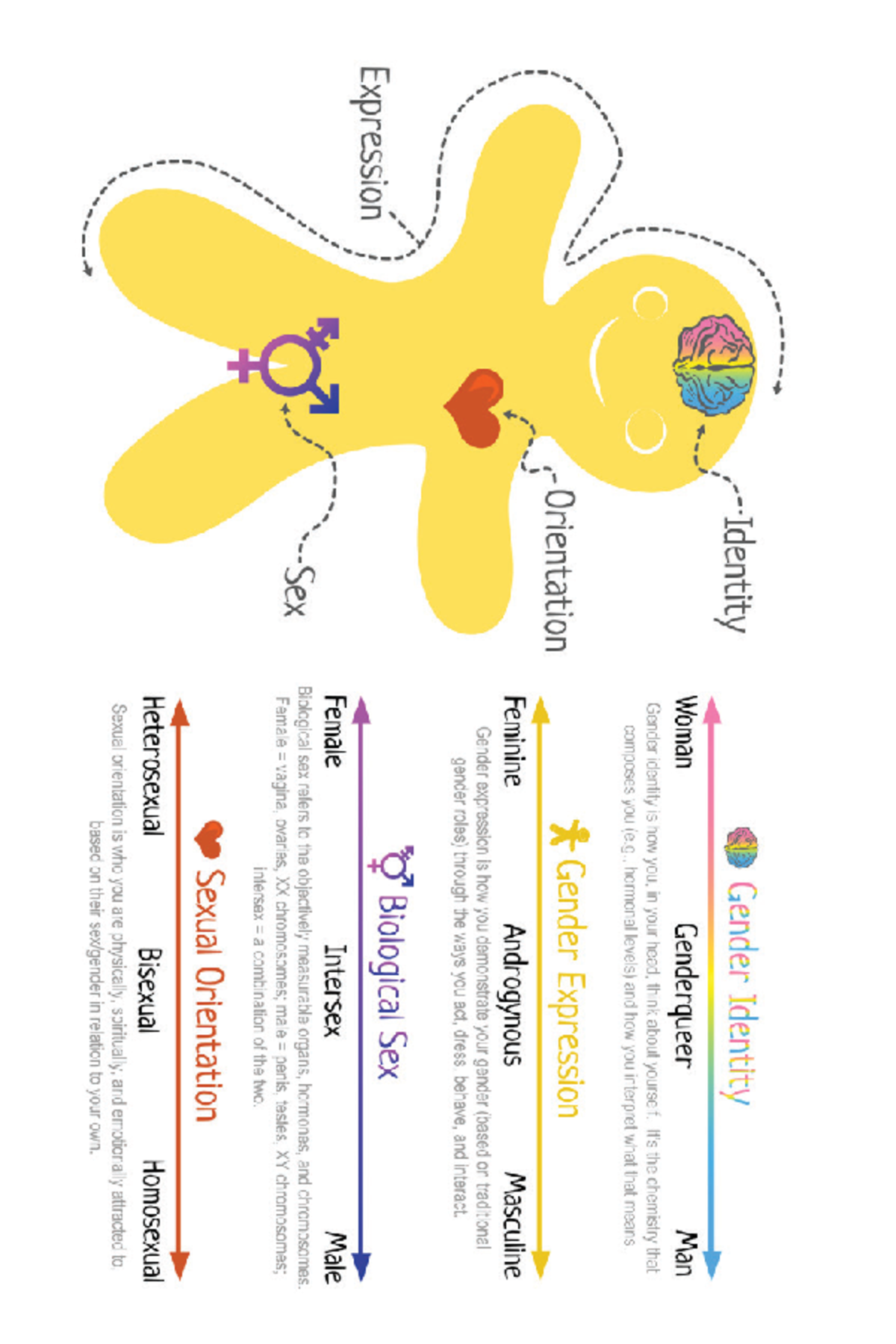 Genderbread killerman-2 - USING THE GENDERBREAD PERSON Gender is a ...