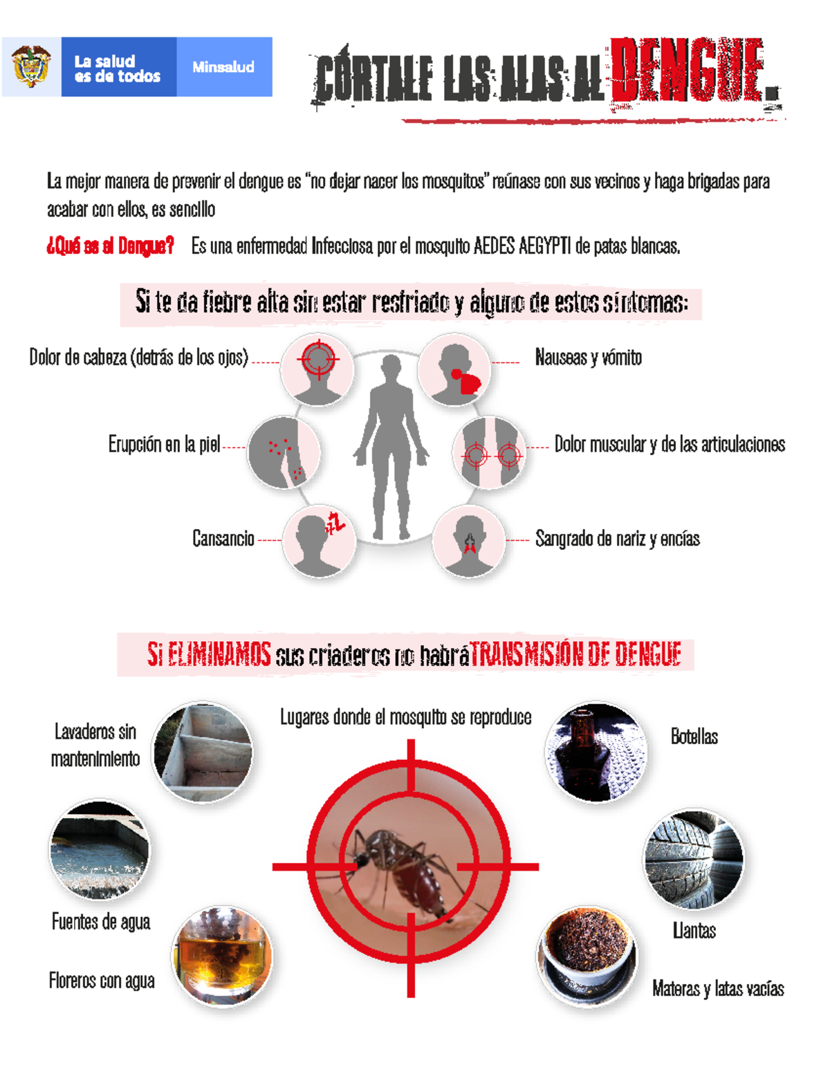 Infografia-control-dengue - La mejor manera de prevenir el dengue es “no dejar nacer los ...