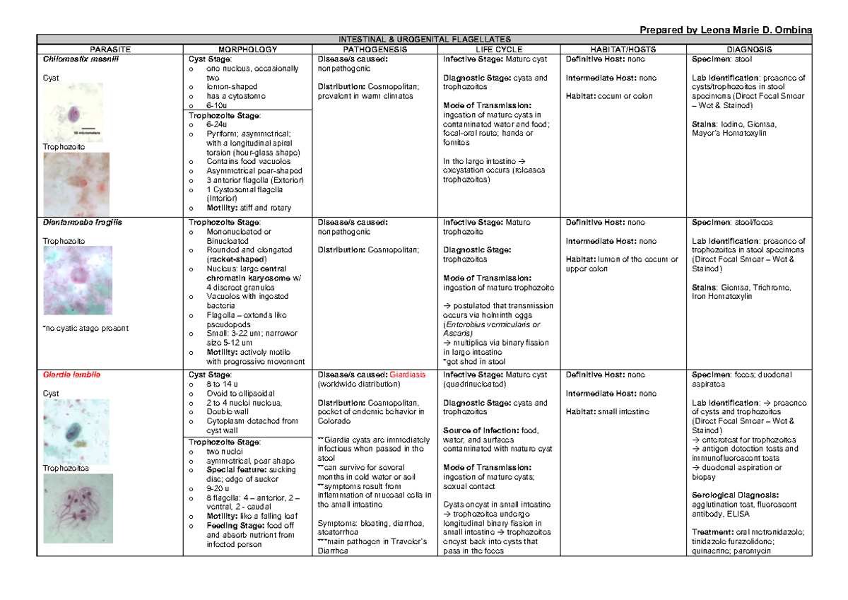 PARA Table - parasitology - INTESTINAL & UROGENITAL FLAGELLATES ...