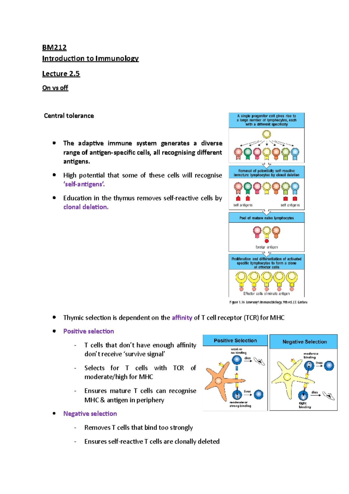 BM212 Lecture 2.5 - BM212 - Strath - Studocu