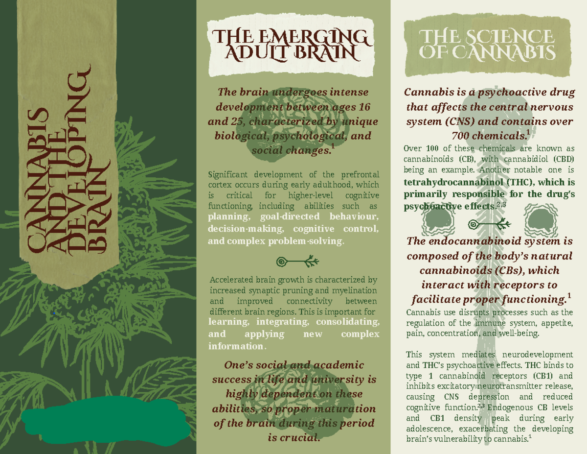 IDIS 199 Brochure (4) - tetrahydrocannabinol (THC), which is primarily ...