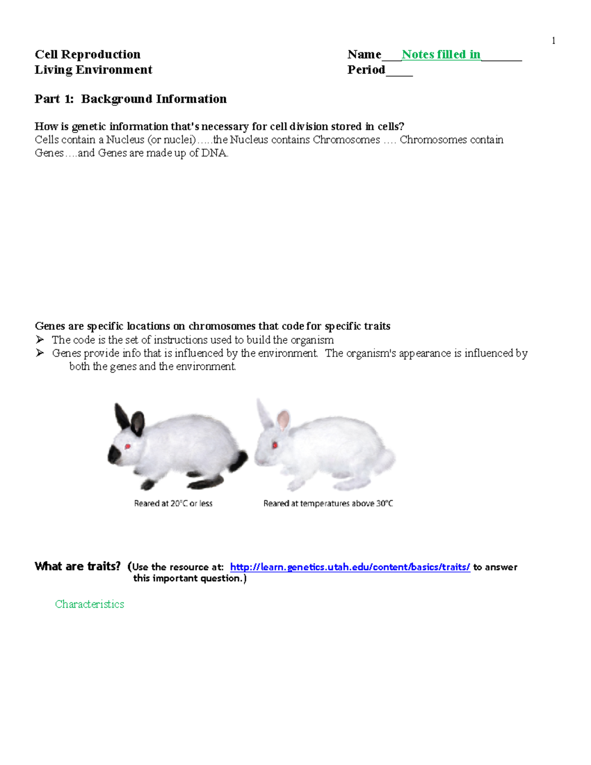9 - biology answer keys - Cell Reproduction Name___Notes filled in ...
