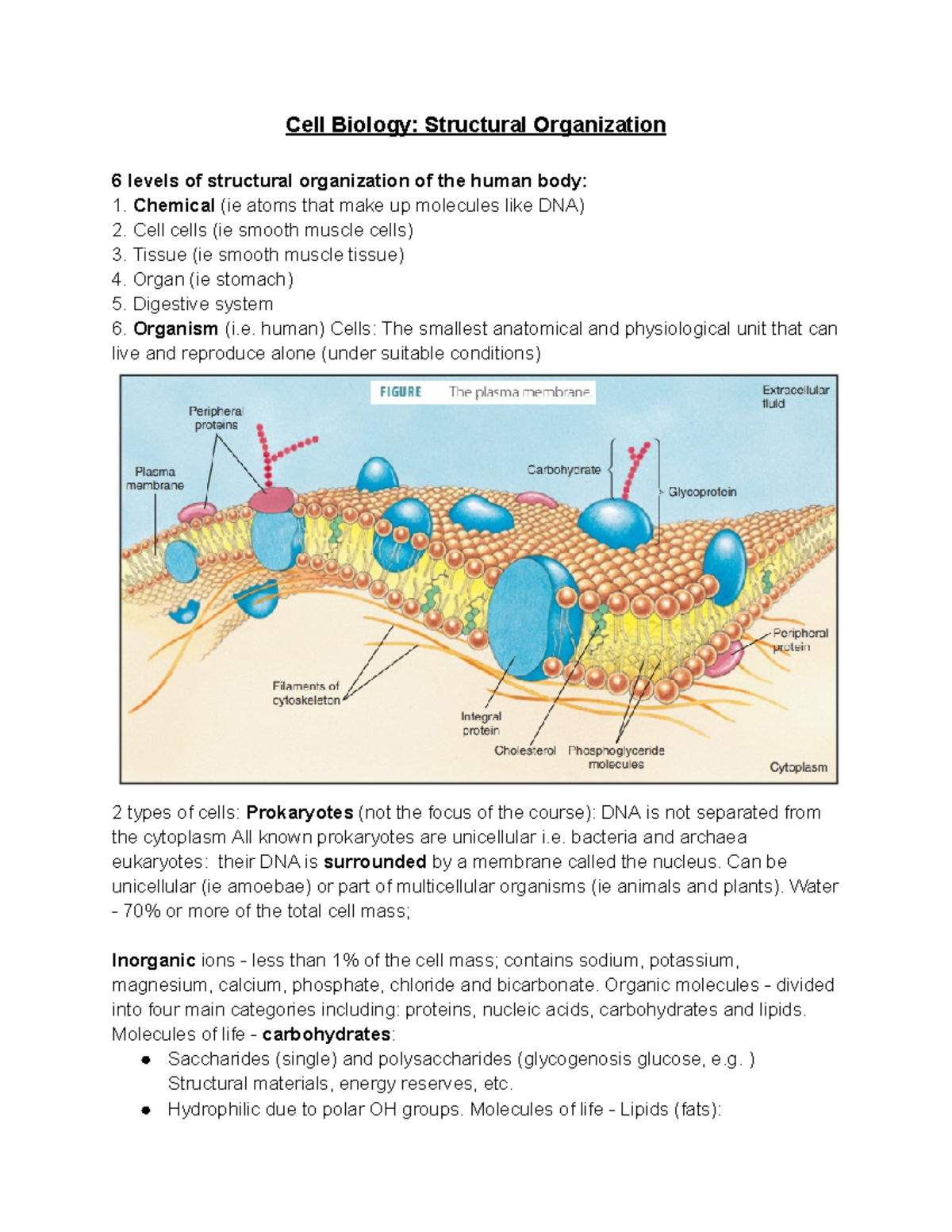 Cell Biology Structural Organization - human) Cells: The smallest anatomical and physiological ...