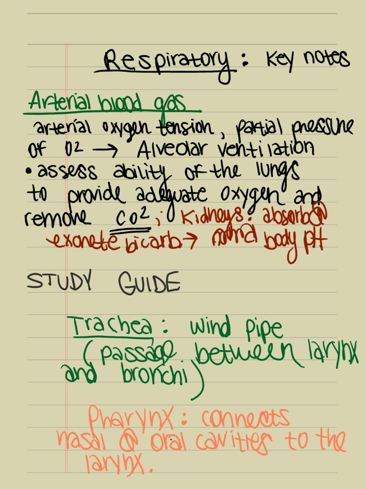 Respiratory notes, drugs, interventions, classifications - NUR1101 ...
