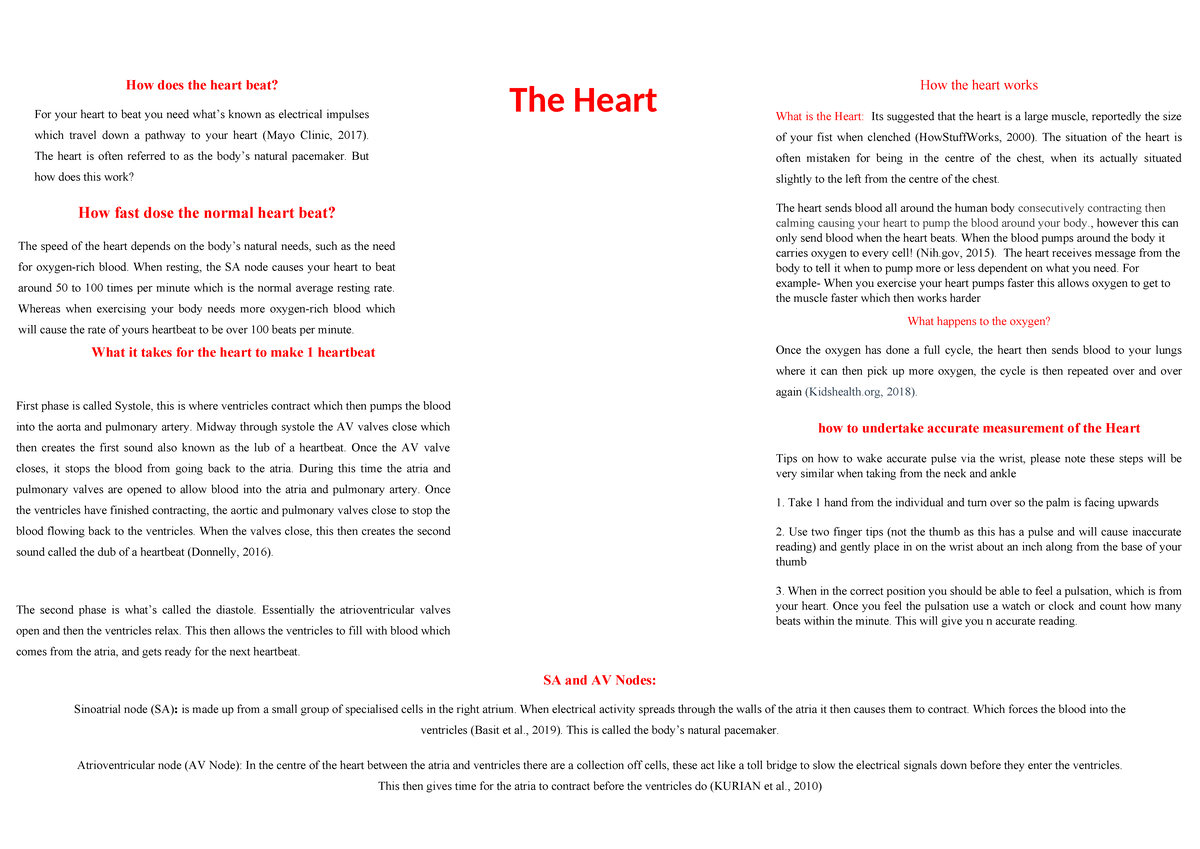 The hearrtt - How fast dose the normal heart beat? The speed of the ...
