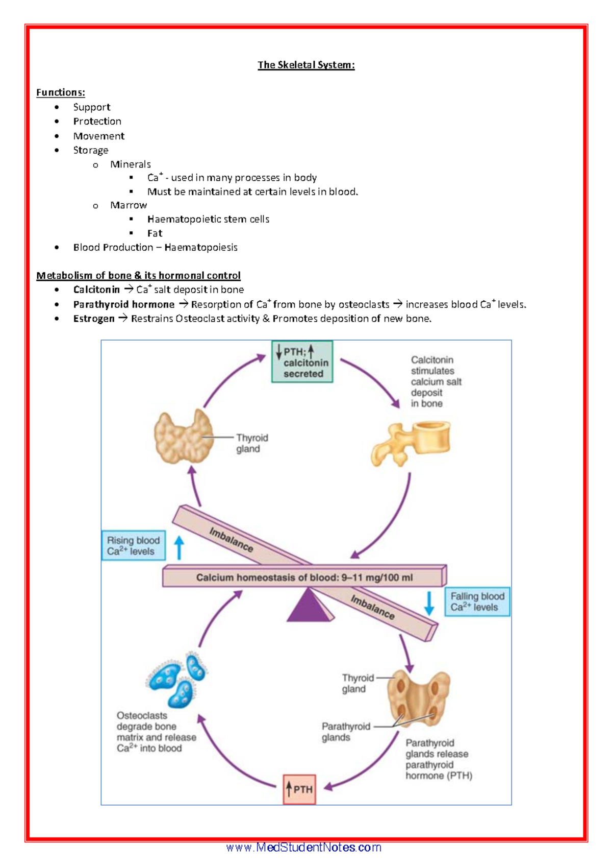 A&P - 2a. Skeletal System Condensed (13p) - Week 3 Musculo-Skeletal ...