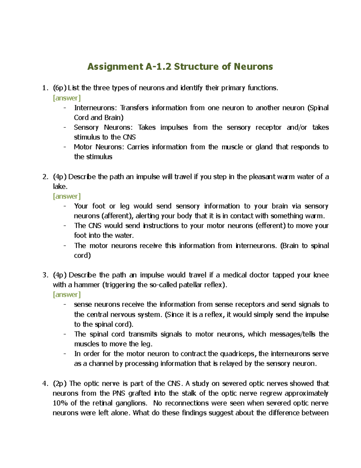 SCN3230-A-1.2 Assignment - Assignment A-1 Structure of Neurons (6p ...