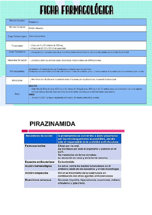 Cerebelo - Anatomia Y Fisiologia I - FOLIUM CULMEN DECLIVE Língula CARA ...
