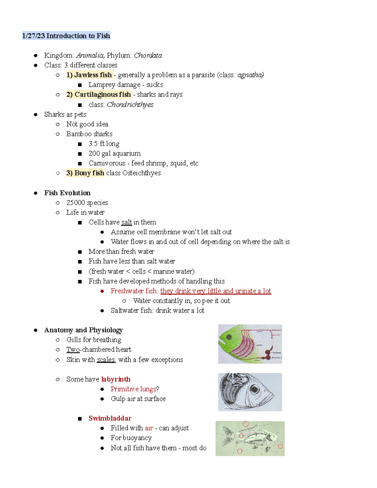 An Sci 2 - Animal Science 200 Lecture - 1/27/23 Introduction to Fish ...