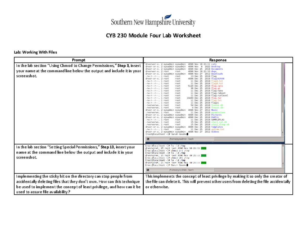 CYB230 lab4 worksheet - CYB 230 Module Four Lab Worksheet Lab: Working ...