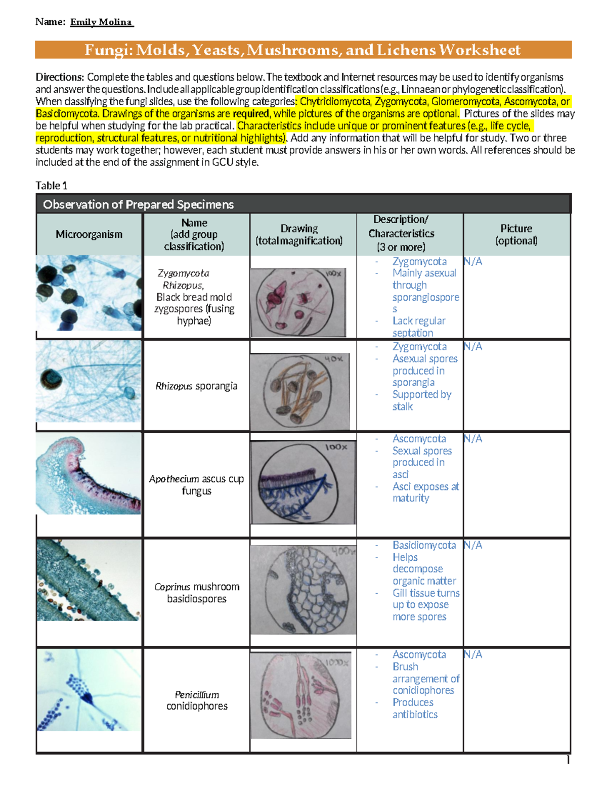 Molds Yeasts Mushroom Lichens Lab - Fungi: Molds, Yeasts, Mushrooms ...