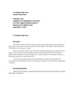 IT200 Project 2 The IT Professional - Copy - Nickolas Cook IT 200 ...