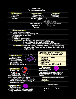 Chapter 1 Overview of the Immune System - Overview of the Immune system ...