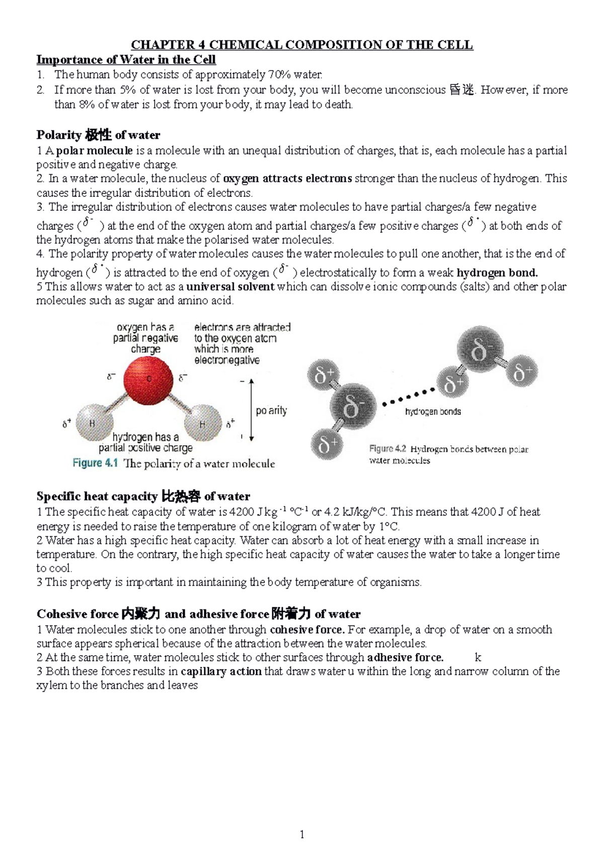 Chapter 4 Chemical Composition OF THE CELL - CHAPTER 4 CHEMICAL ...