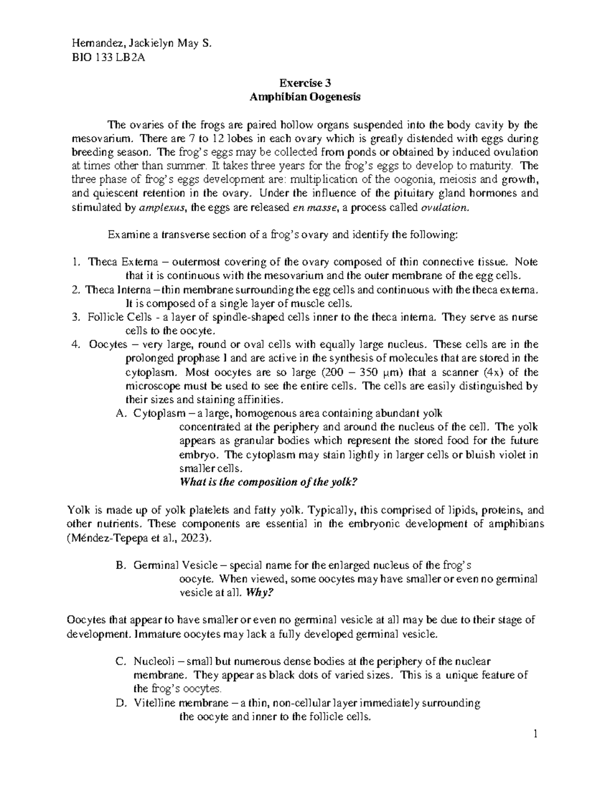 Experiment 3 Bio 133 - BIO 133 LB2A Exercise 3 Amphibian Oogenesis The ...