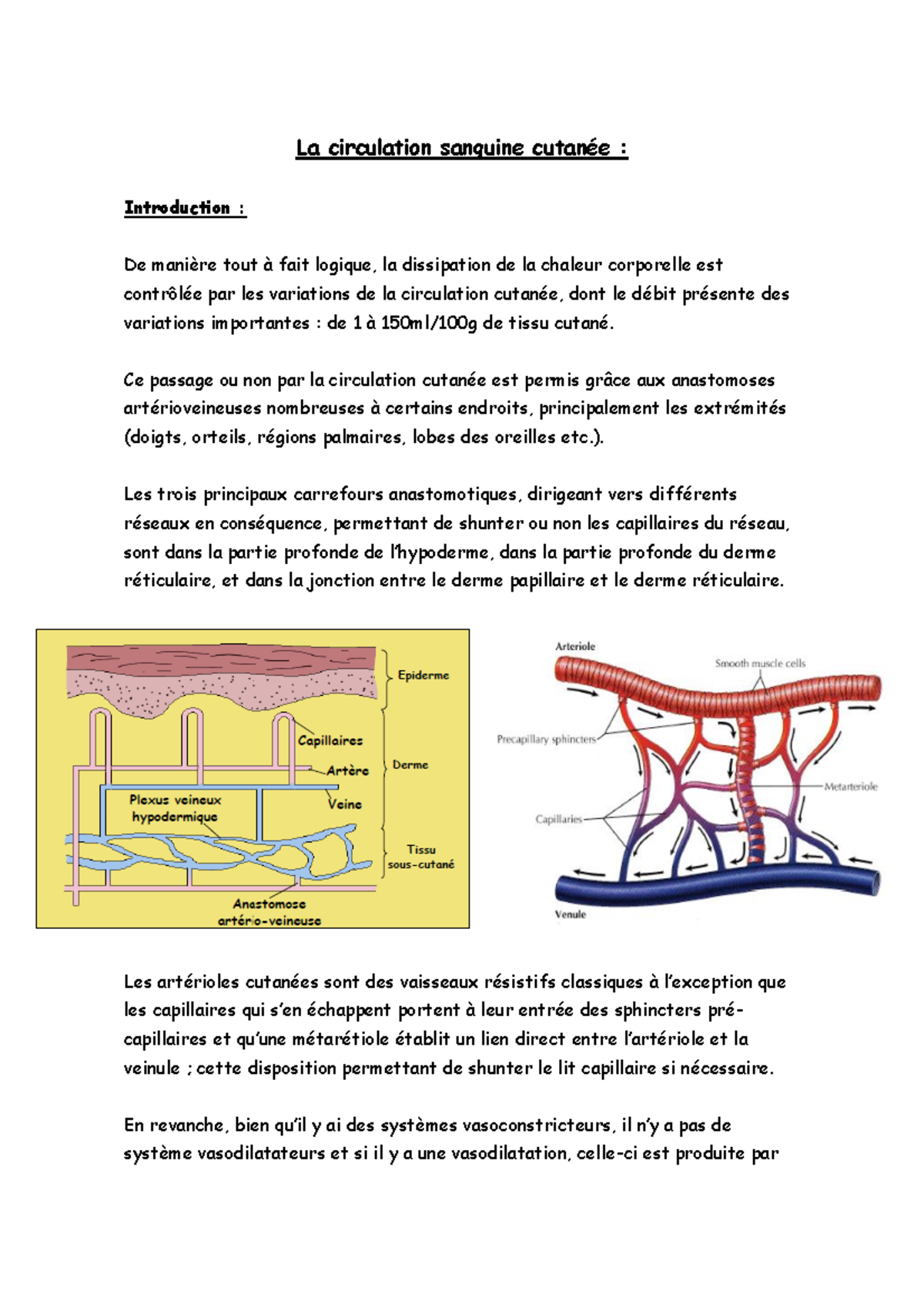 Biphy cutané - Chapitre 2 - La circulation sanguine cutanée - Histologie II - UNamur - Studocu