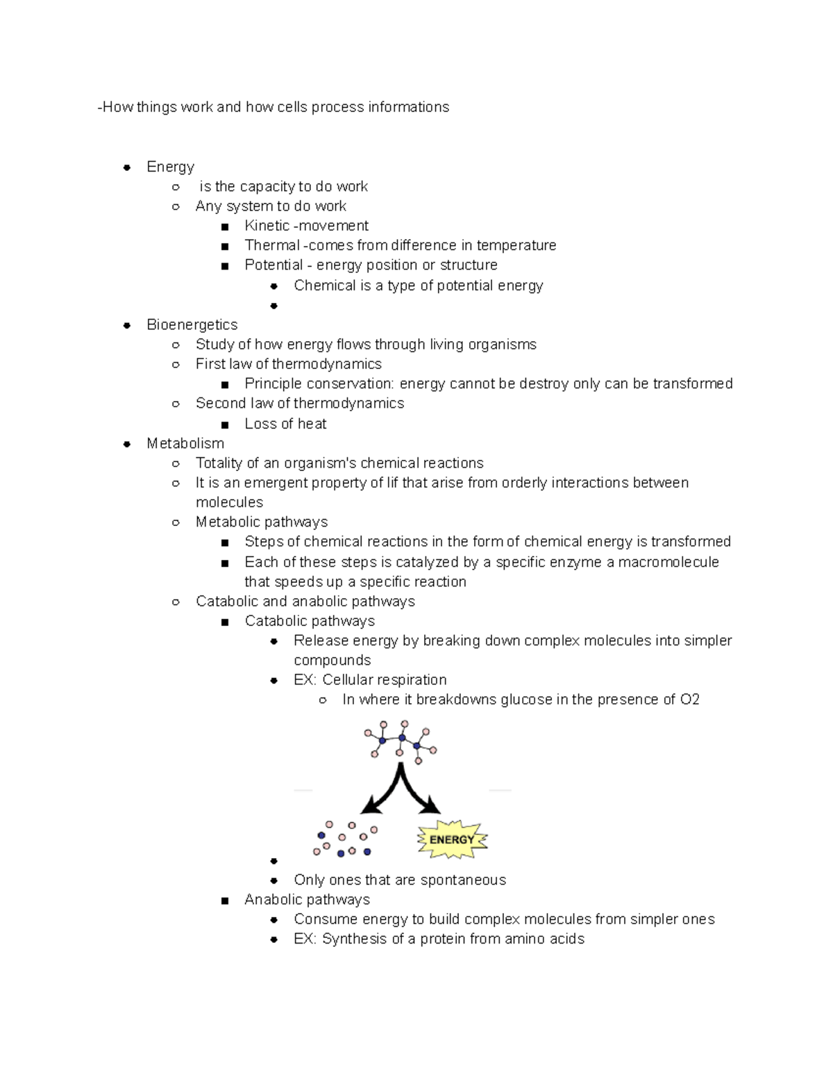 Energy Transformations by cells -How things work and how cells process ...