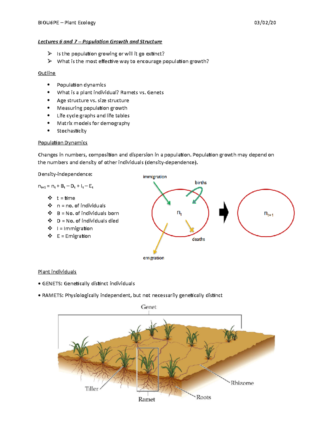Lectures 6 and 7 - Lectures 6 and 7 – Population Growth and Structure ...