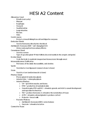 2020-Spanish 2(SPAN1102)-Lab Manual Key - Lab Manual Answer Key ...