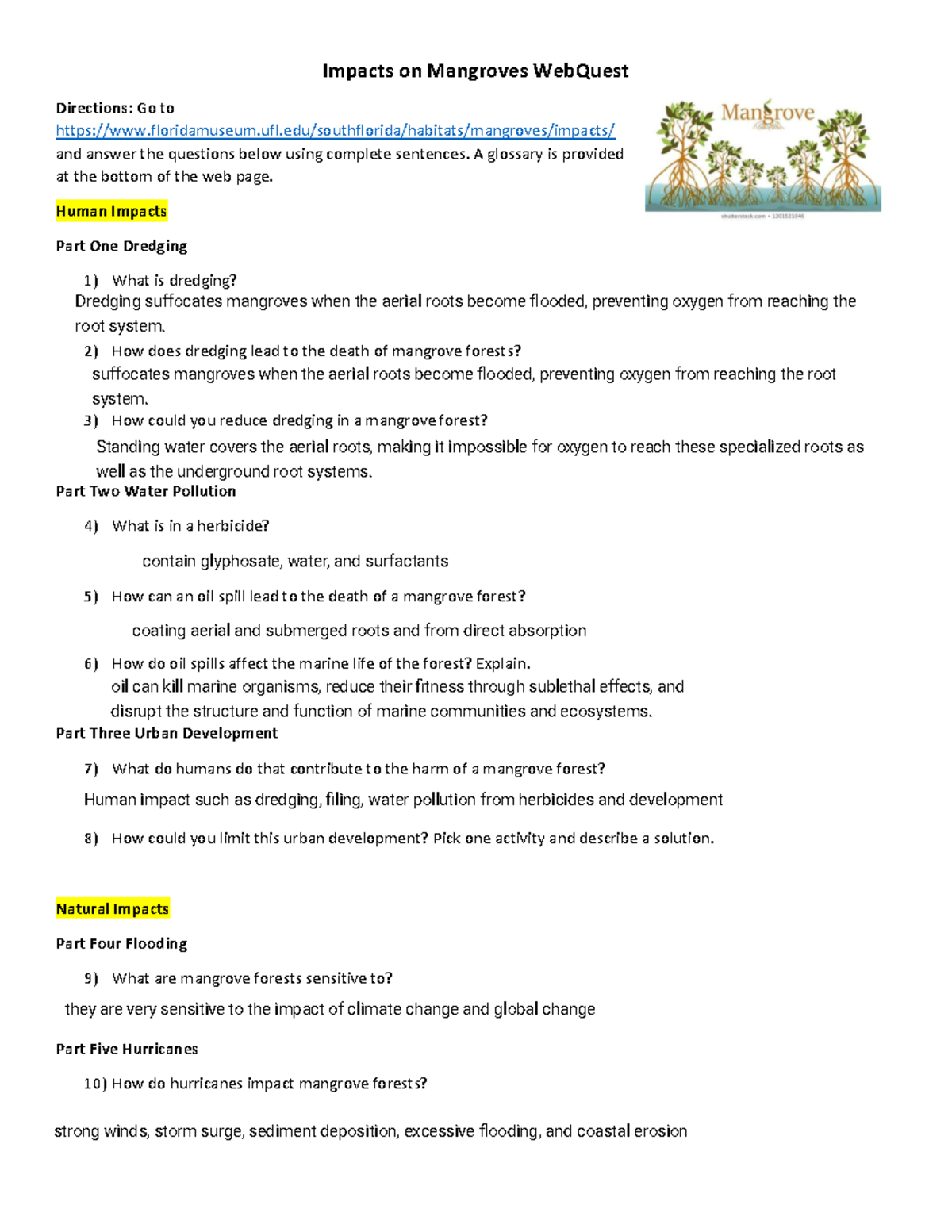 Kami Export - 7.3.2 Impacts on Mangroves Web Quest - Impacts on ...