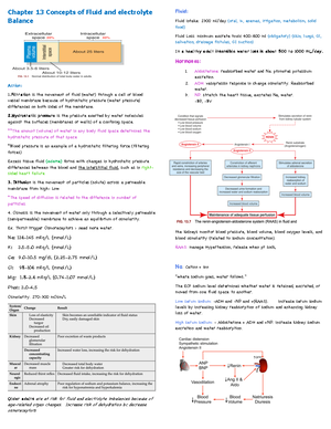 Endocrine Illustrated Study Packet - The Endocrine System The human ...